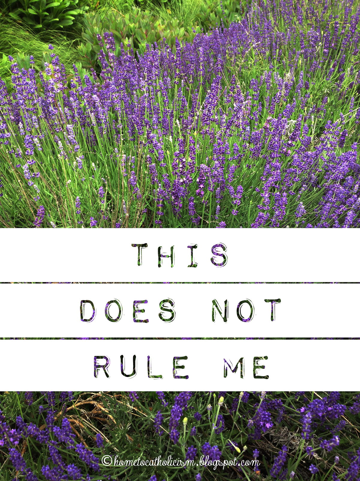 Home to Catholicism: This Does Not Rule Me: A Lenten Reflection