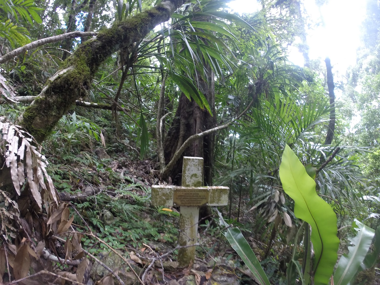 Travels: Attempting Mt Lindsay