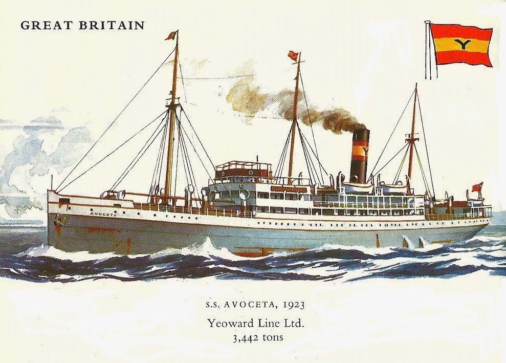 Naval Warfare: S.S. Avoceta