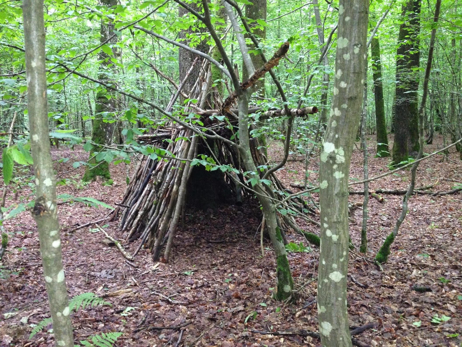 From Soph to You: Week-end Robinson dans une cabane perchée