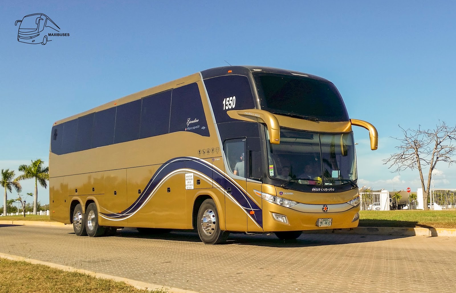 MAXIBUSES: AUTOBUS TURÍSTICO (TURISMO)