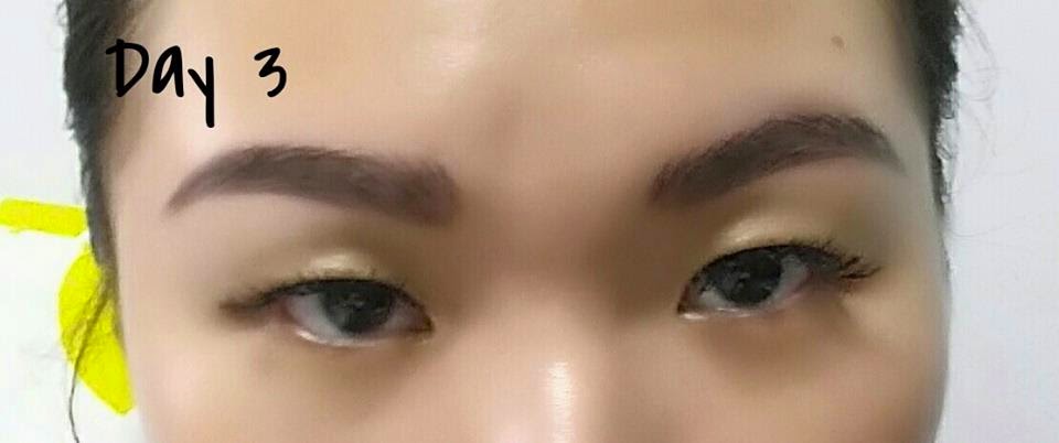 thegirlsinsaneeats: Eyebrow Embroidery Healing Process