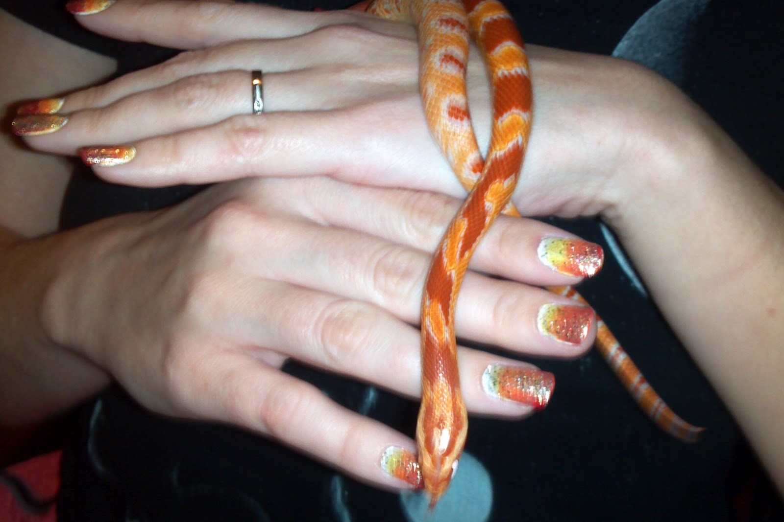 The Spasmodic Dabbler