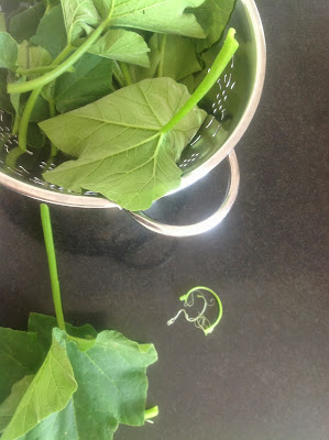 Well, It's Africa...: Muboora