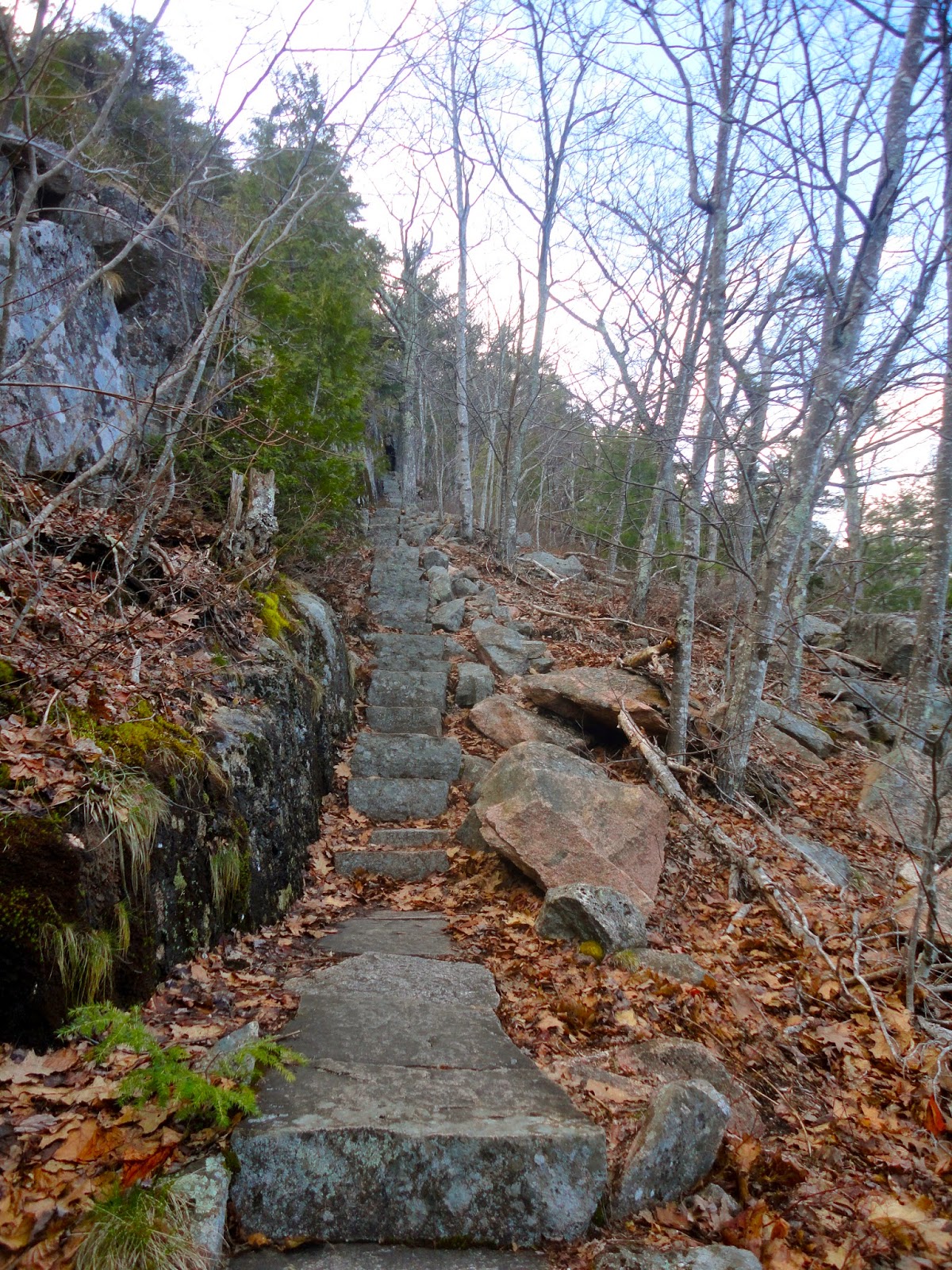Take A Hike!: Dorr Mountain; Ladder Trail