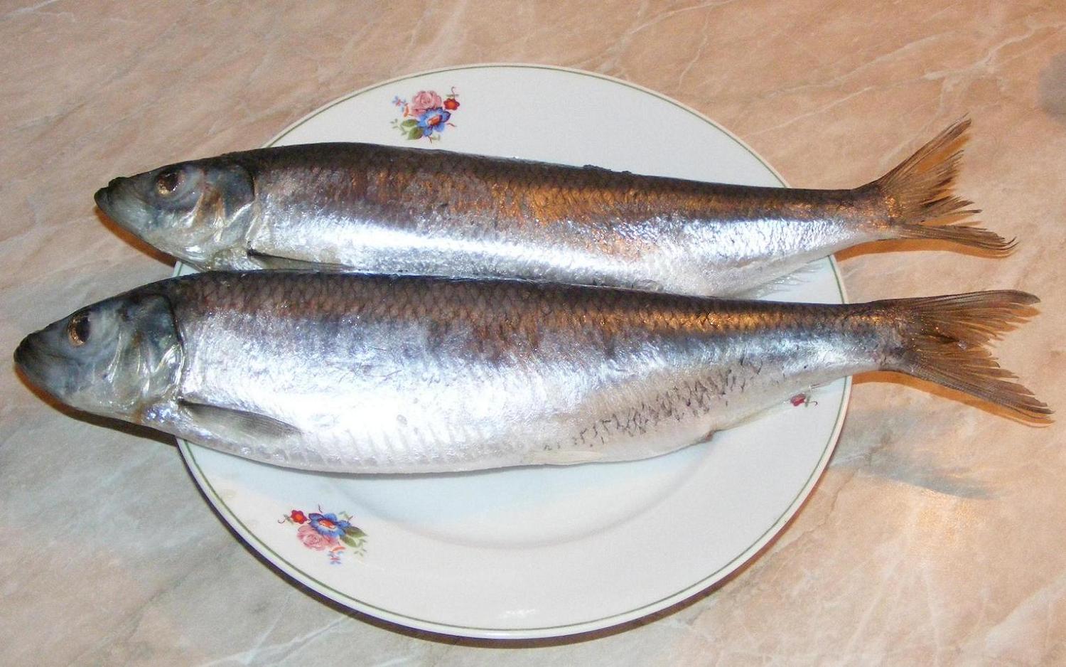 Scrumbie la gratar | Preparatedevis.ro