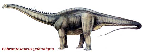 Los animales en la prehistoria: junio 2013