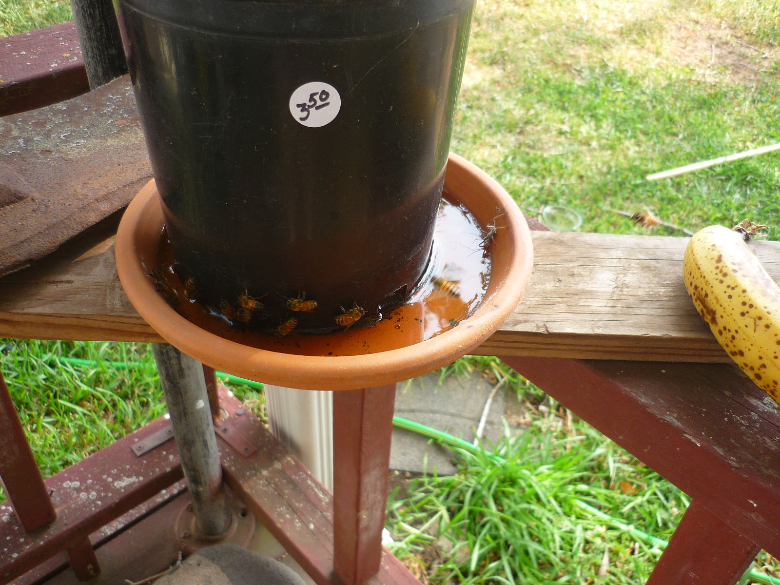 Lehmann Beekeeping and Apiary