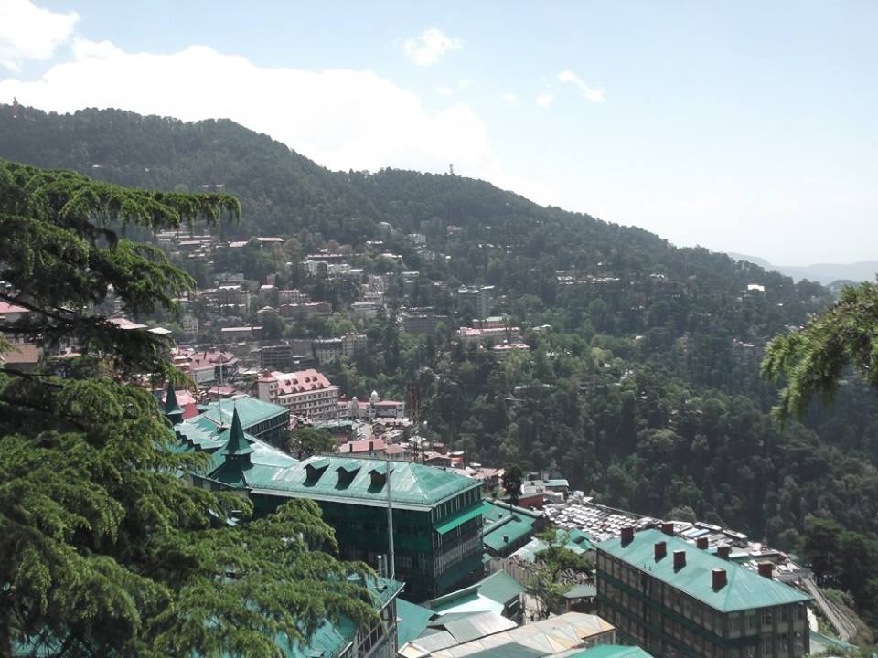 Shimla - Himachal Pradesh - Drawing and Painting