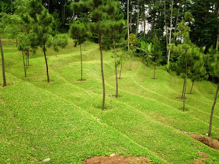 Java Eleven: Ubaya Training Center