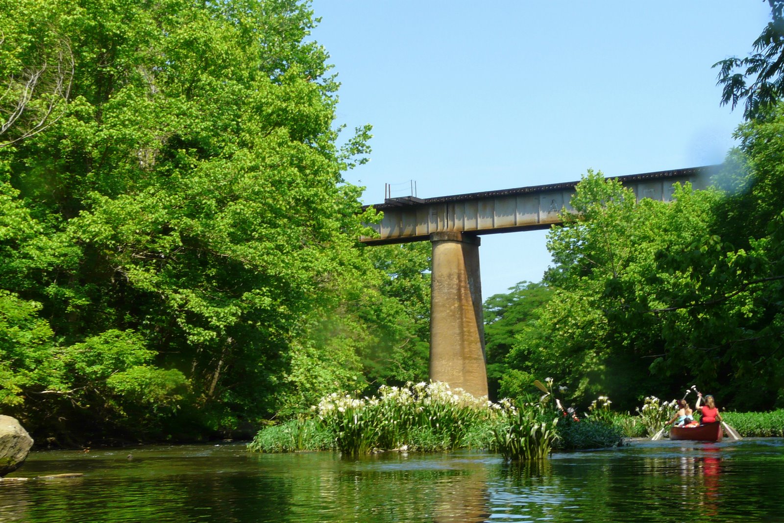 Tales from Bloggeritaville: Canoeing the Cahaba