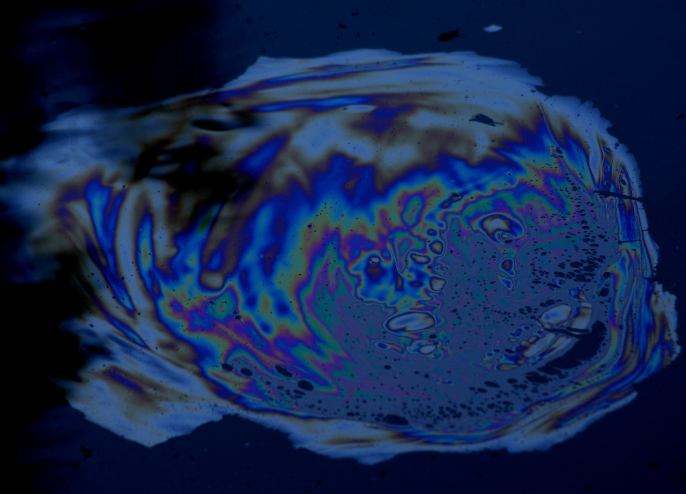 A photo, A thought............: Observation: Rainbow effect of oil ...