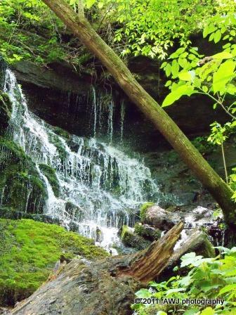 Tennessee Trails- Murfreesboro: Short Springs State Natural Area Part ...