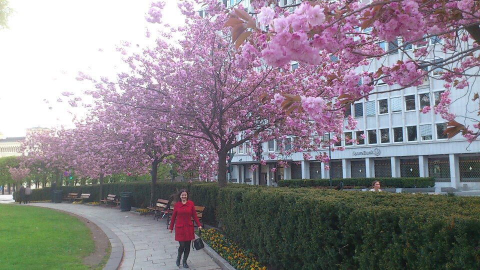 Andando por aí: O que fazer em Oslo na PRIMAVERA?