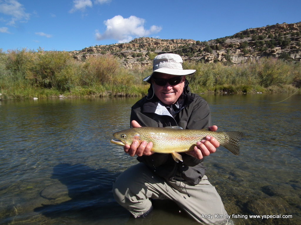 Be happy, life is too short!