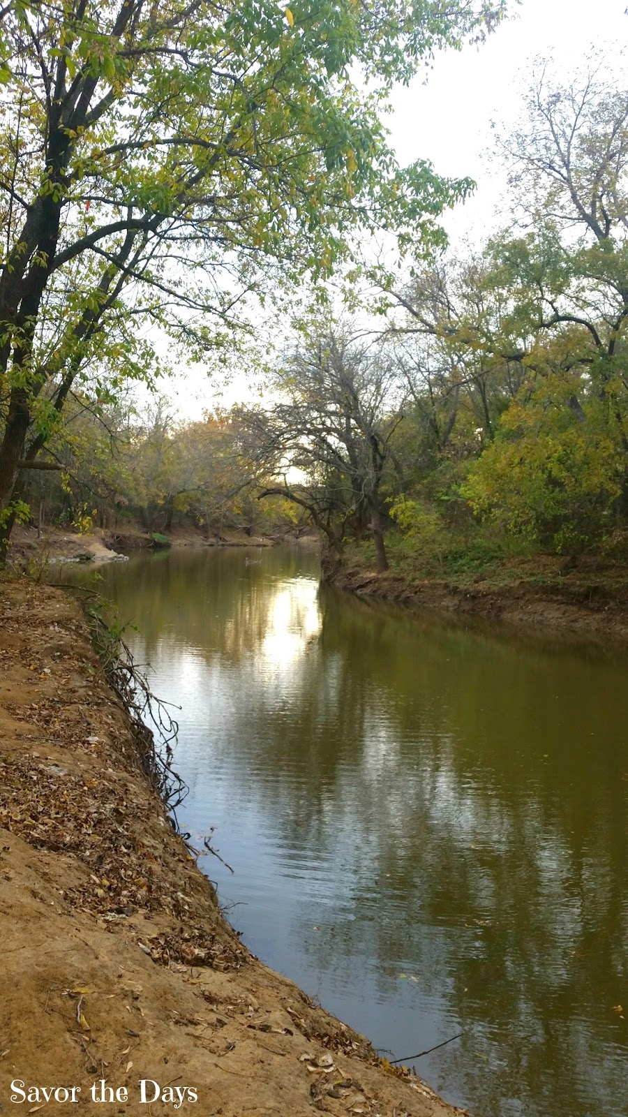 Savor The Days: Old Alton Bridge {Goatman Bridge}