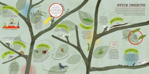 Randomly Reading: Bug Detective: Amazing facts, myths, and quirks of ...