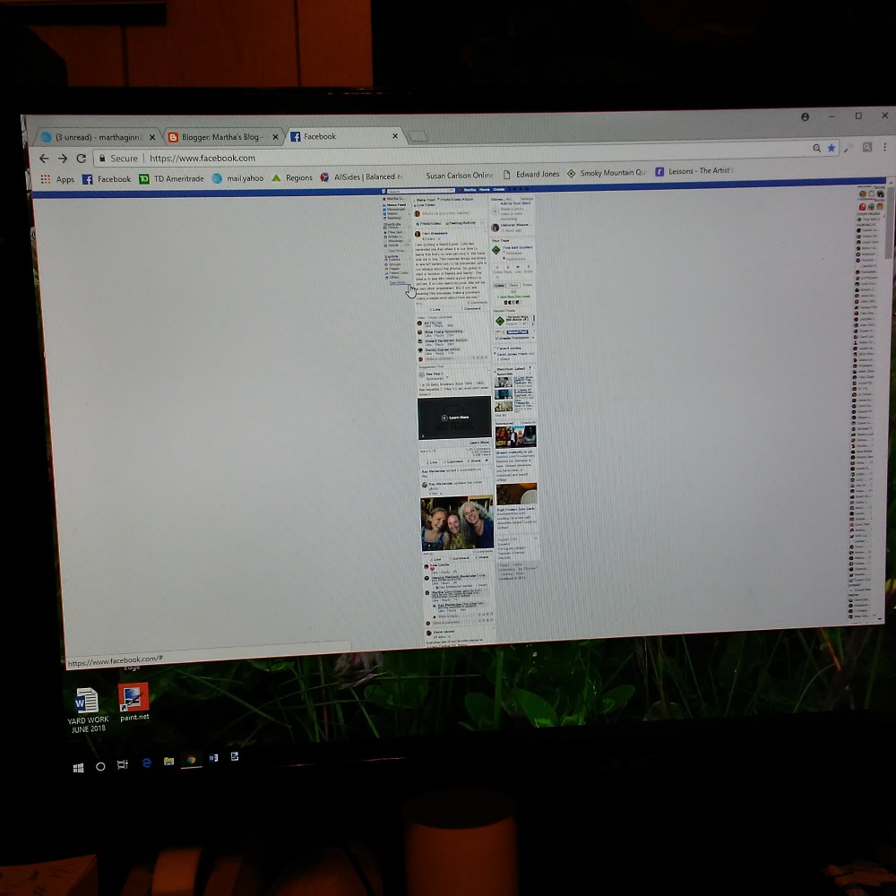 Martha's Blog: Finishing MOP, Shrinking Computer Screen Emergency