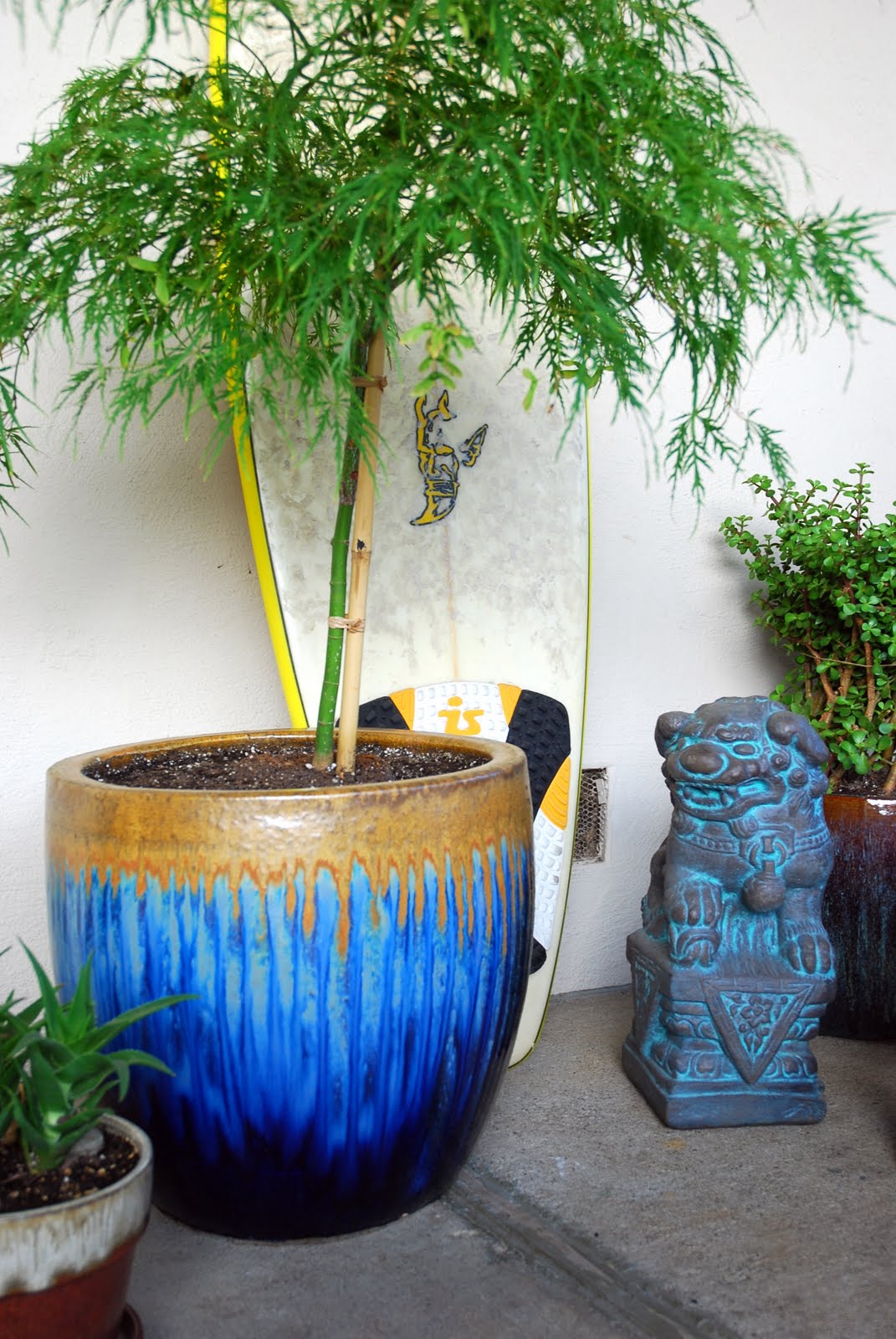 JPM Design: Pots, Pots & More Pots