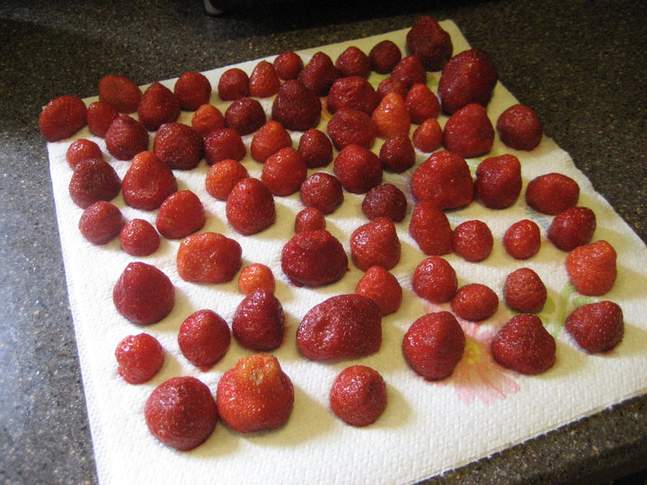 Teacher, Baker, Gourmet Meal Maker: Fresh Strawberry Tart