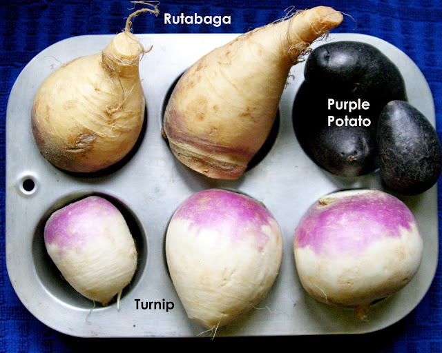 The Overlooked Beauties and Their Health Benefits....ROOT VEGETABLES!