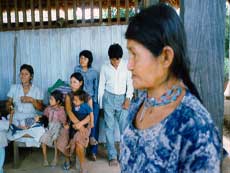 Etnia Los Chimanes - Noticias de Bolivia y el Mundo