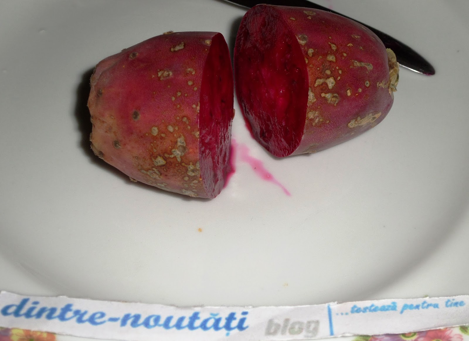 Fructele de cactus | D-Nblog. Păreri sincere despre produse noi.Testez ...