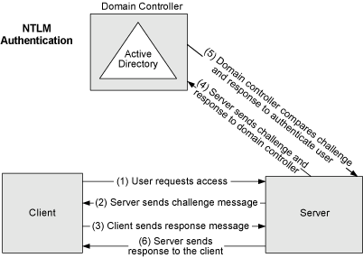 RANDIKA'S TECH BLAST: How NTLM authentication works?