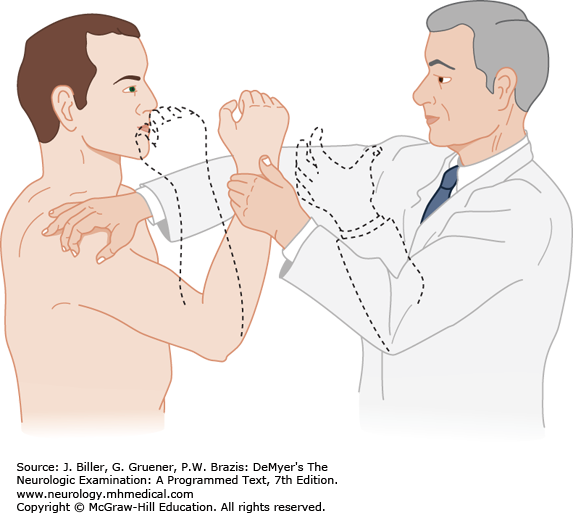 EXAMS AND ME : Human Body and Rebound
