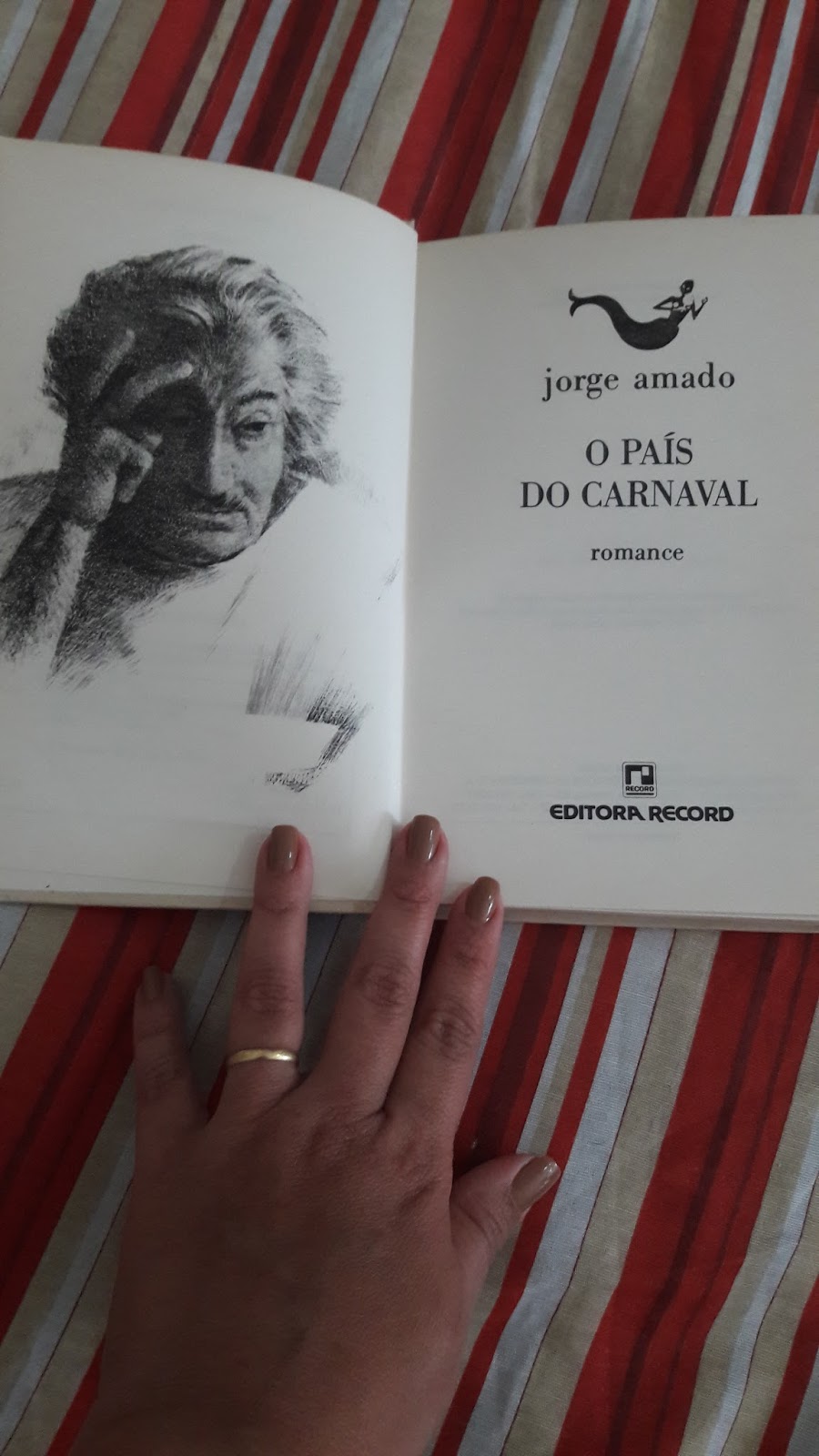 Resenha O País do Carnaval