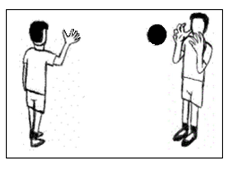 1ºs Anos - EF_RSC: Handebol (Fundamentos)