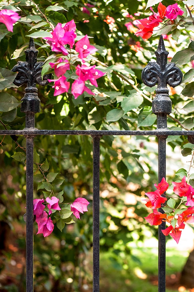 cabbage thepla - A Bit Wholesomely