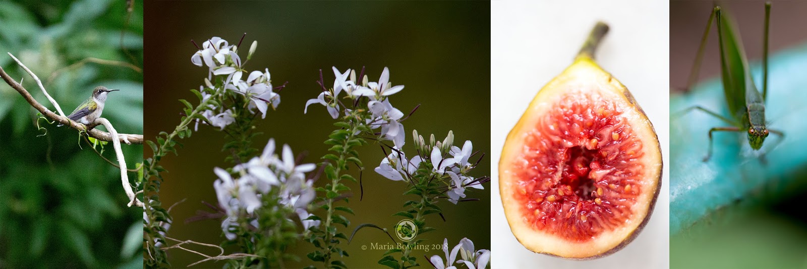 Pretty Medicine : 2018