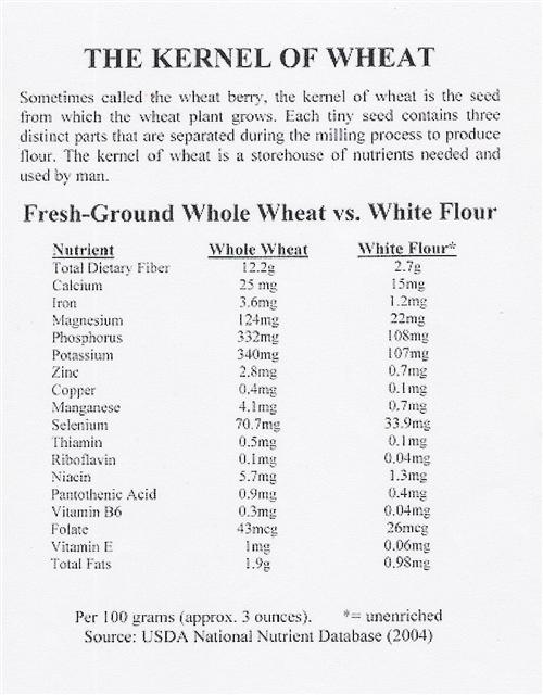 Paula's Bread: Wheat and Anti-Grain Concerns Part I