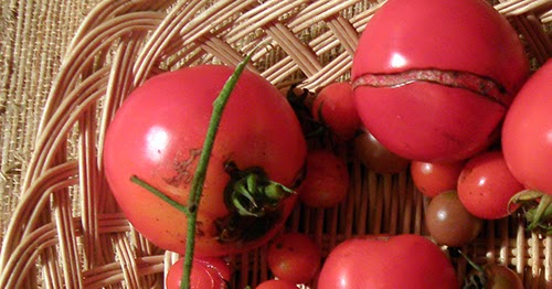 Seasonal Eating: DIY Stewed Tomatoes