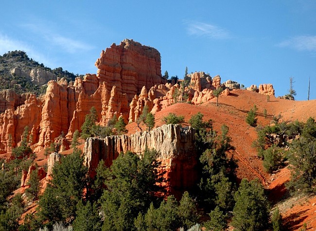 Dixie National Forest Utah | NATURE OF THE WORLD