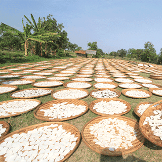 Pengawetan dengan Pengeringan ( Drying ) ~ CATATANku
