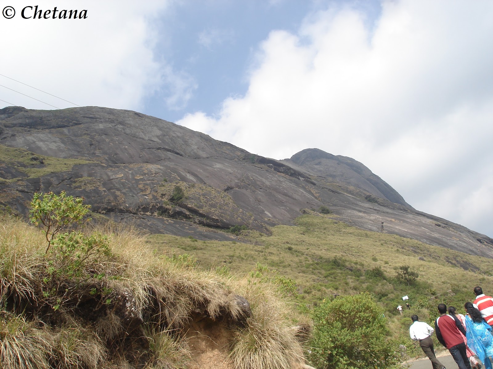 Prayanika - The Journey *******: Munnar : Eravikulam National Park ...