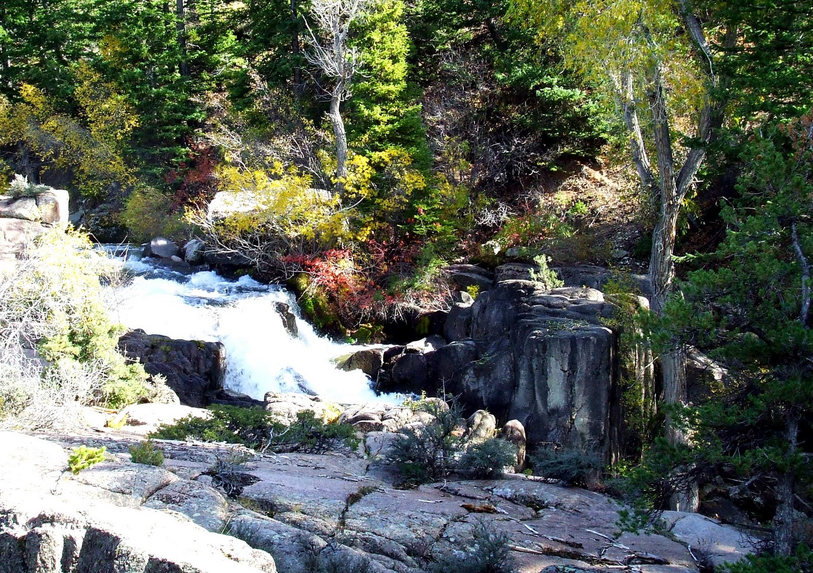 Somethin' Salvaged: Roadtrip October 2011 Part 3 Home Bound: Mount ...