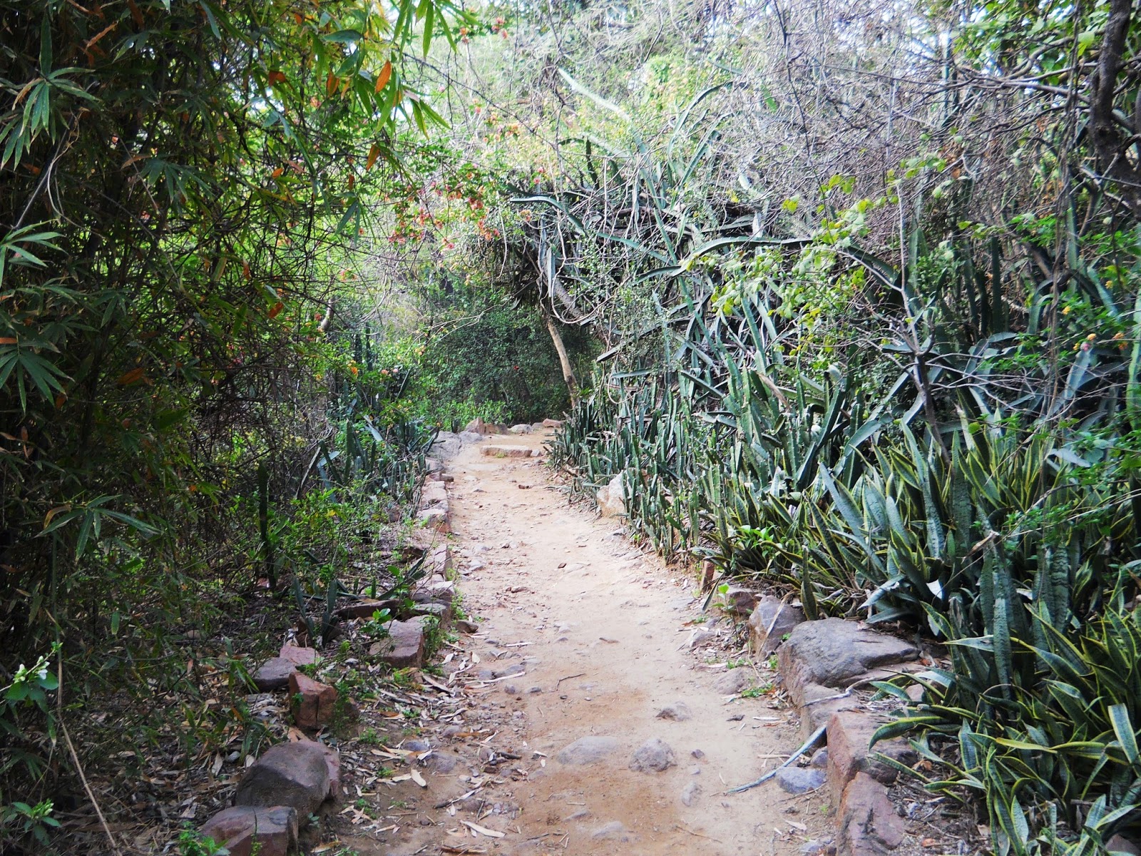 evenfewergoats: The Northern Ridge