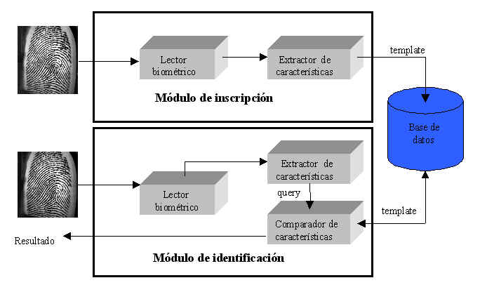 Sistemas Biometricos