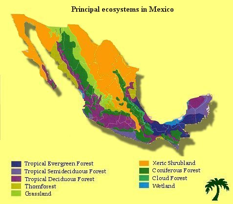Evergreen Forest, Mexico: Map of Tropical Evergreen Forest in Mexico