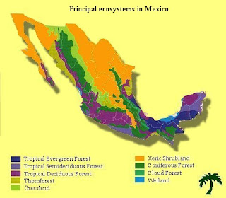 Evergreen Forest, Mexico: Map of Tropical Evergreen Forest in Mexico