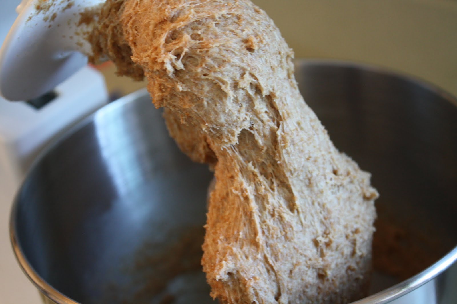 Recipes from Michelle's Kitchen: Whole Wheat Bread- Tutorial