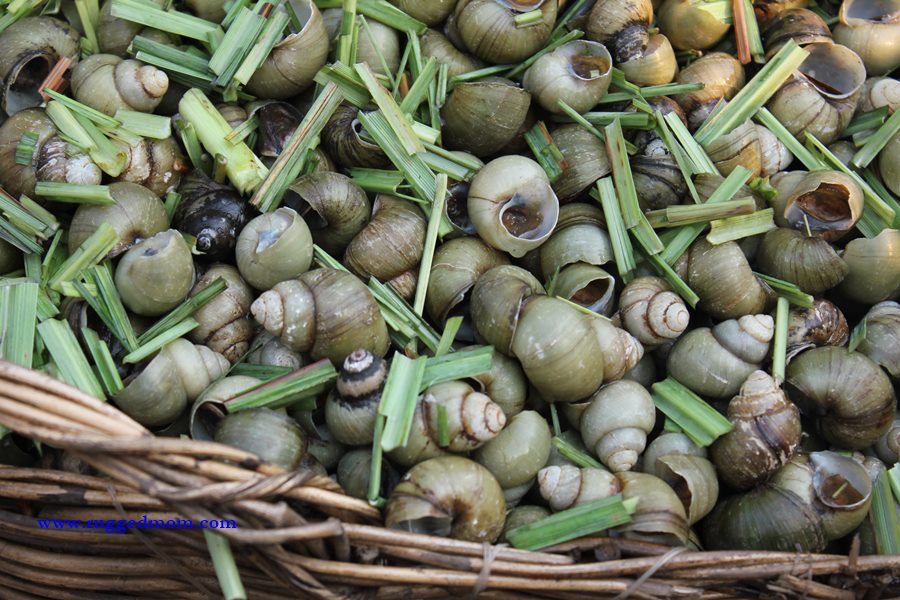 Makanan eksotik di Cambodia