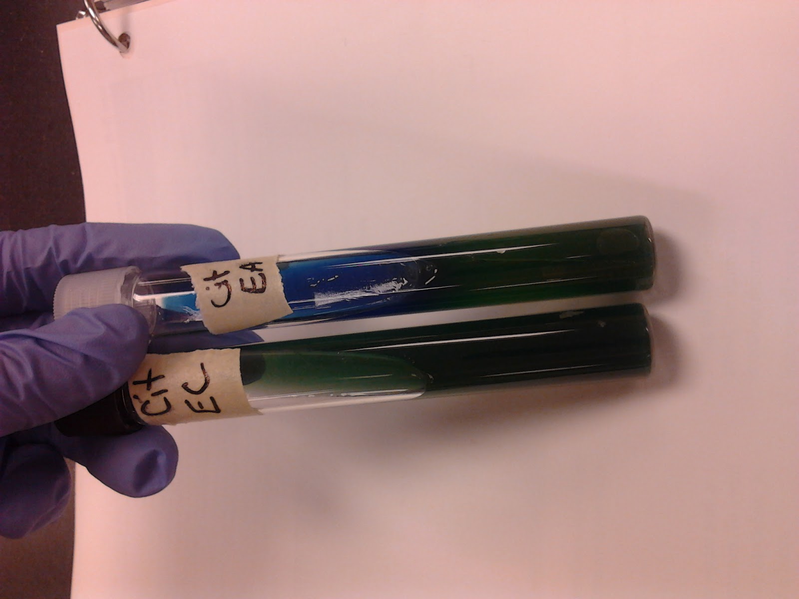 Microbiology Ejournal