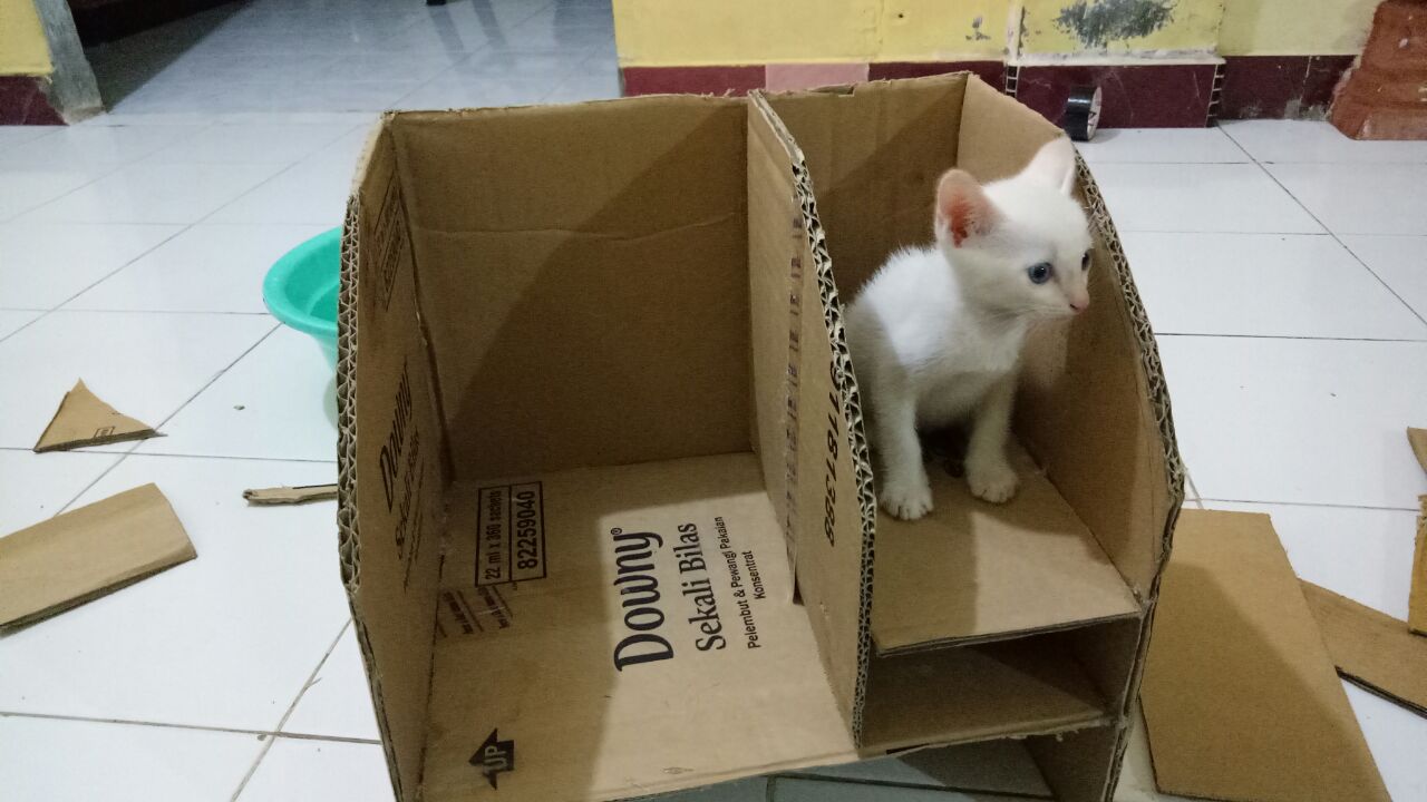 Kuyimuct-Yell: Cara Membuat Rak Dari Kardus Bekas Step By Step Mudah Senang