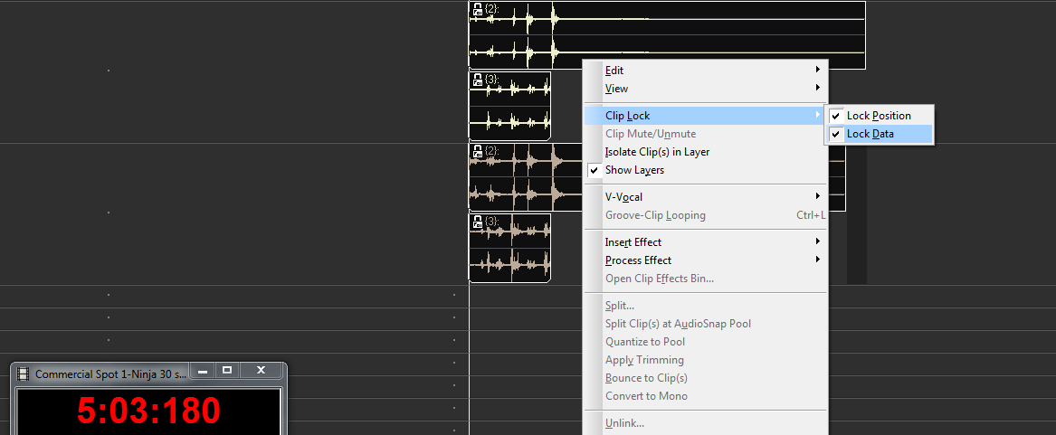 fleeting moments: What Does A Ninja Sound Like?