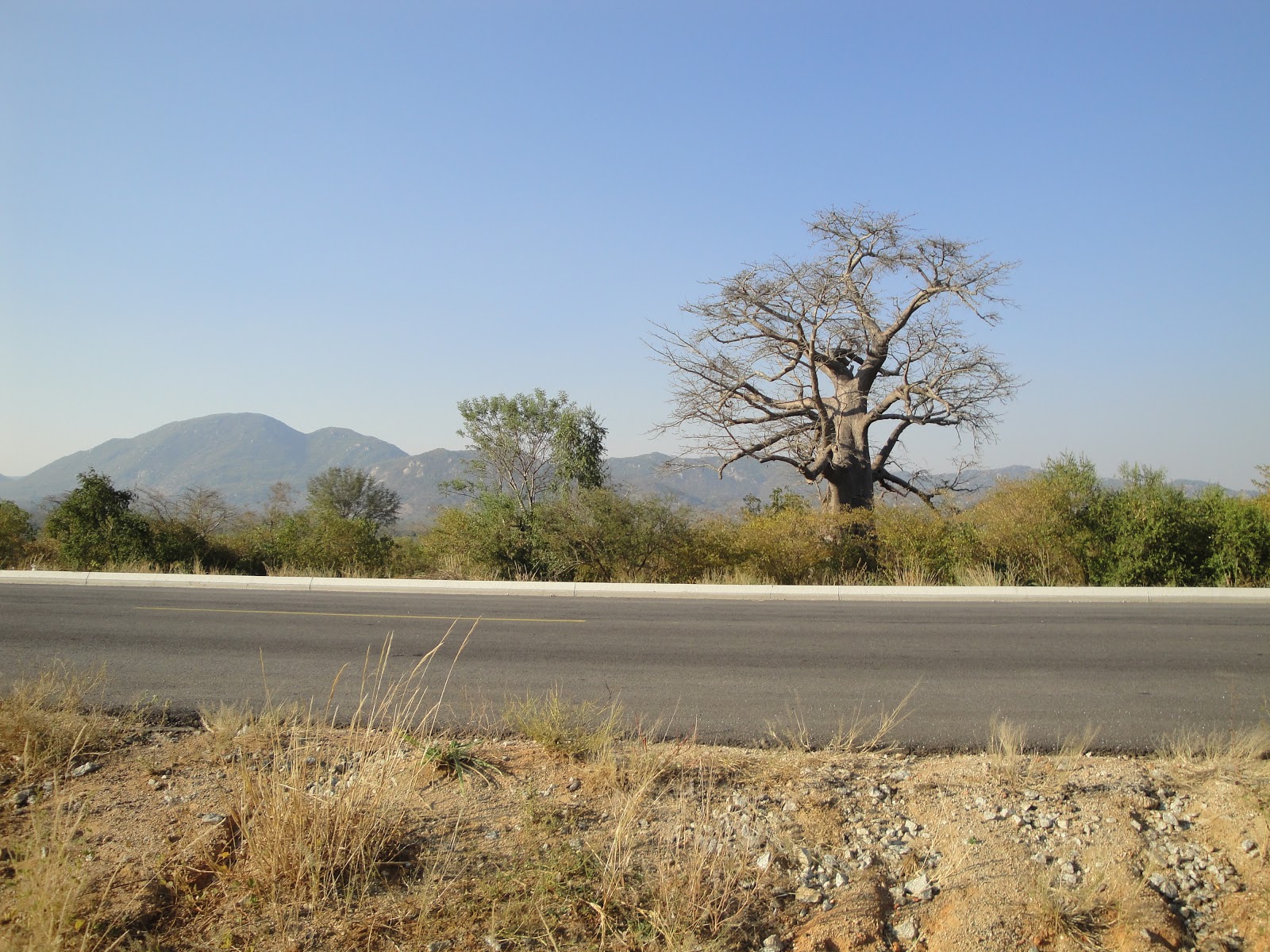 Lobito - Benguela - Angola: ==> *** Município do Chongoroi - Terra dos ...