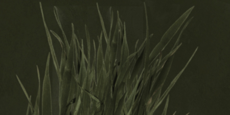 Ulrich Thümmler Game & 3D Artist: UDK grass